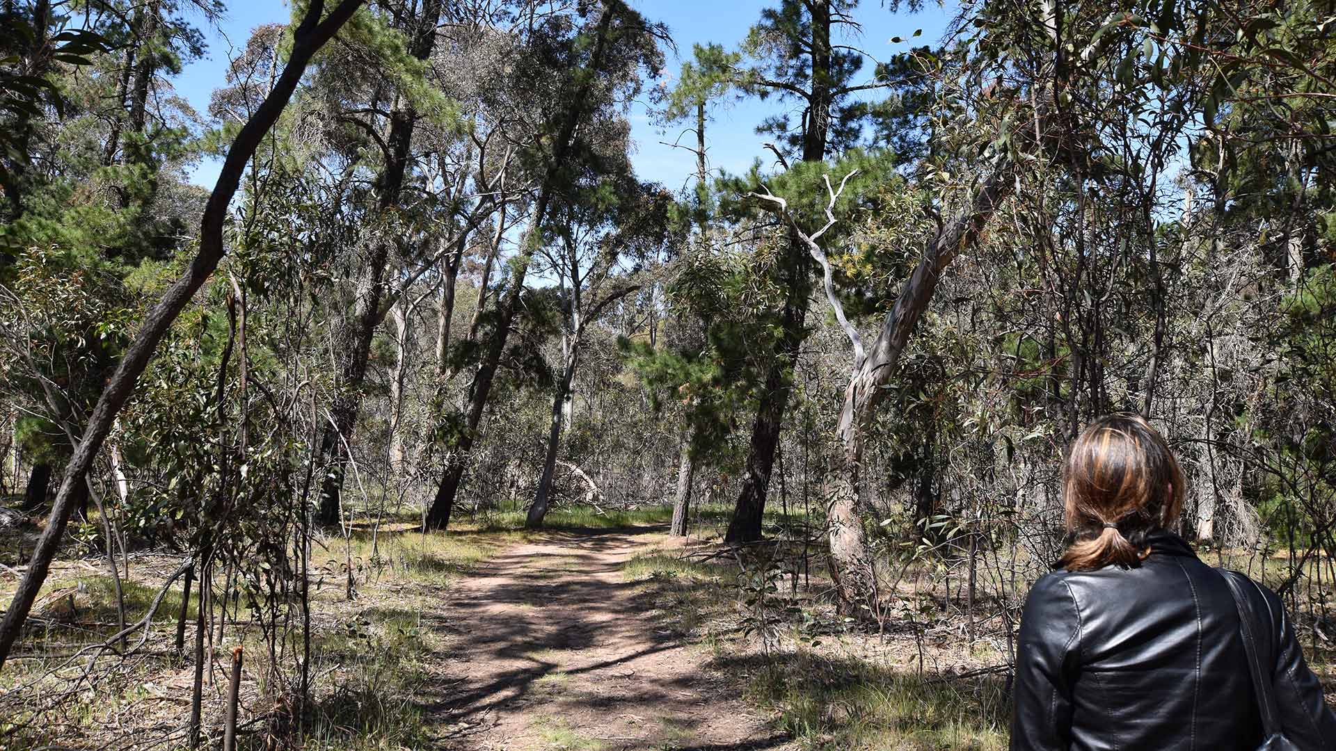 The Pines | Light Country, South Australia