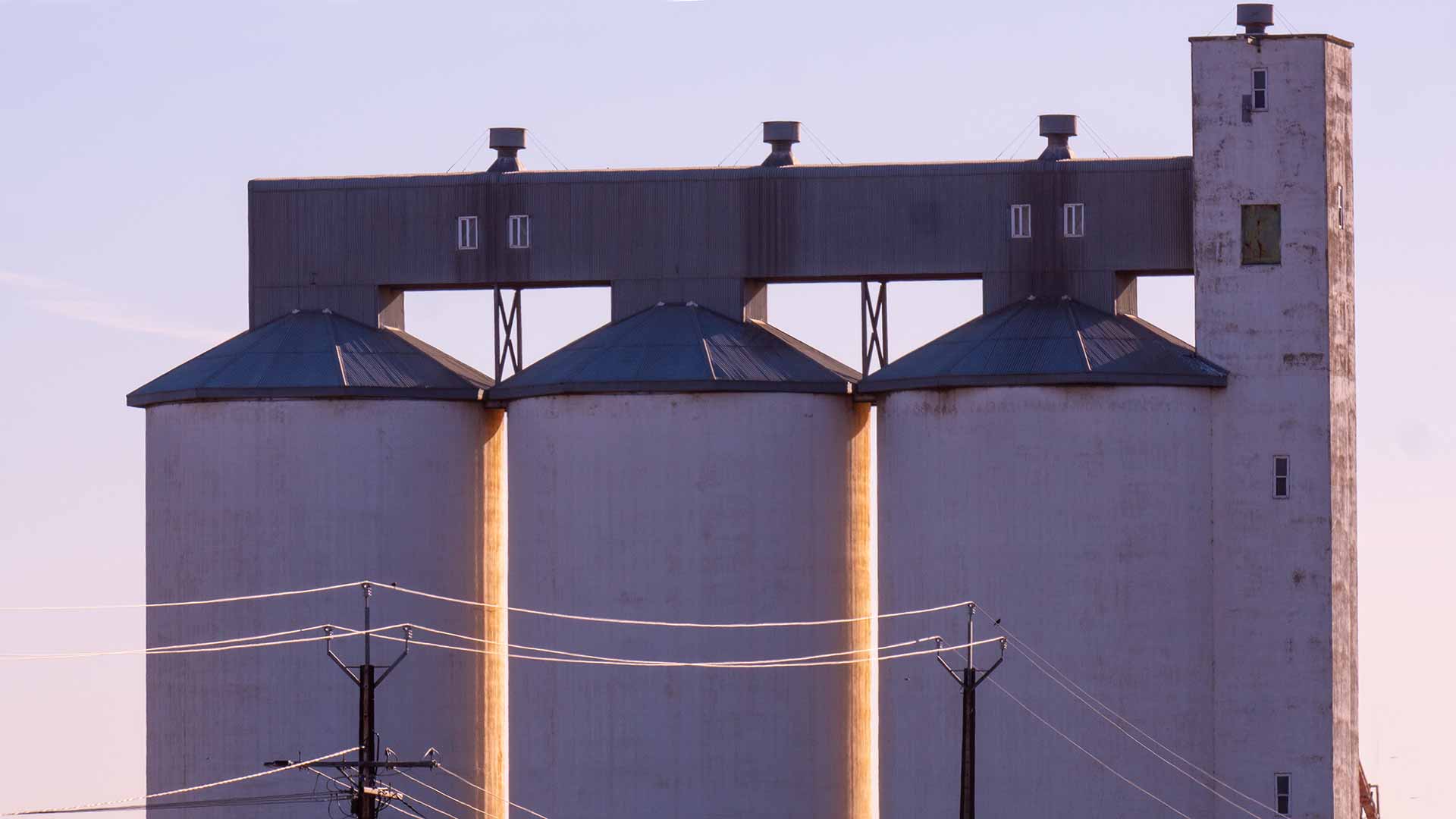 Roseworthy | Light Country, South Australia