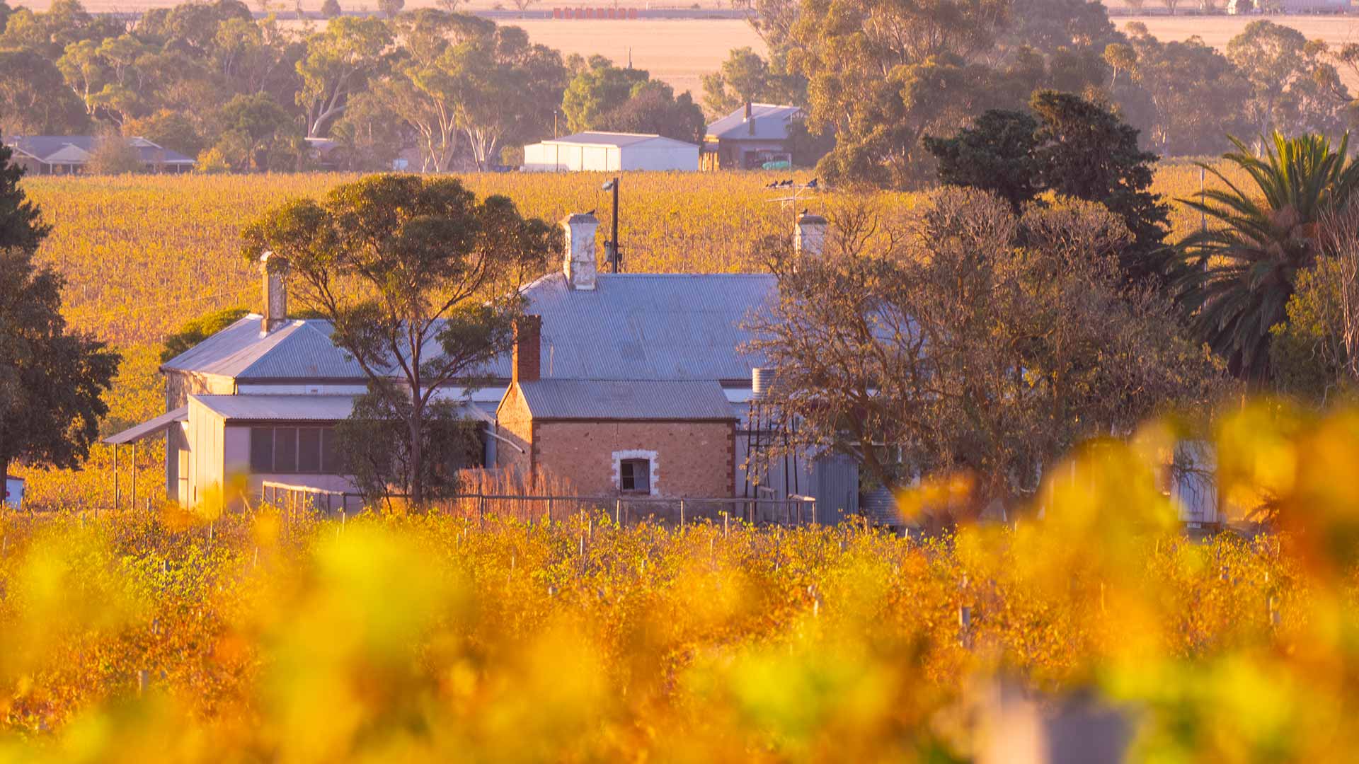 Get Closer | Light Country, South Australia